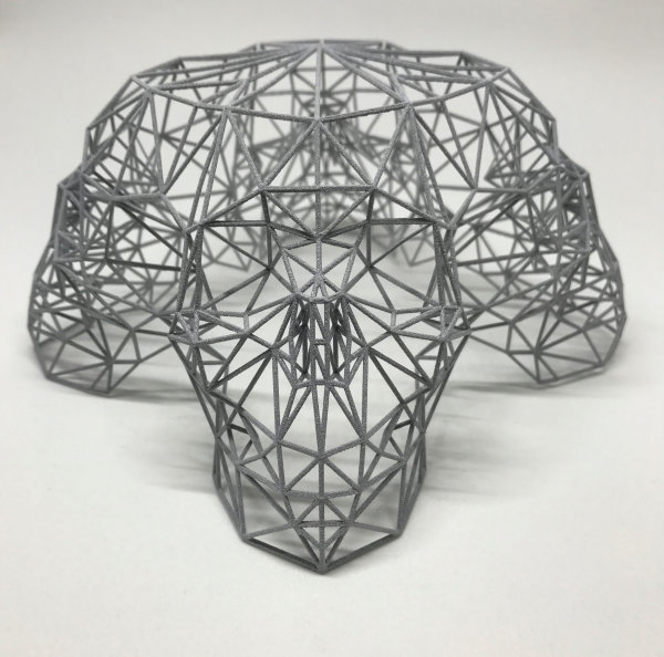 QUAD SKULL ACGE - 3D PRINT by Angie Jones | Artwork Archive