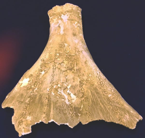 Oracle Bone, Ox Shoulder Blade from the collection of Flora Lamson ...