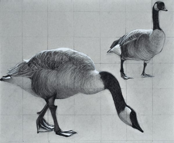 Geese on a Grid from the collection of Gallery 110 | Artwork Archive