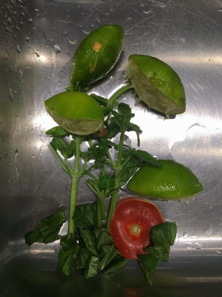 Caprese with lime-ginger cocktails from the collection of Gallery 110 ...