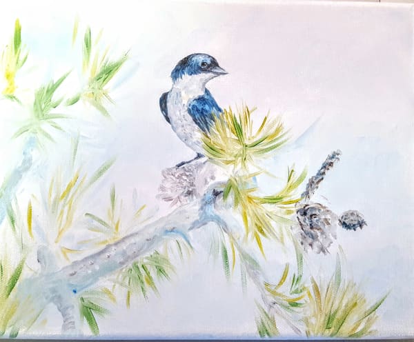 Mountain Bluebird in Yellowstone by Cate Crawford by Cate Crawford and Wilson Crawford | Artwork ...