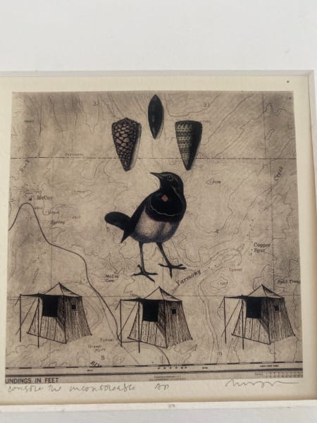 Shell, bird, tent - Solar Etching by Meg Bernet | Artwork Archive