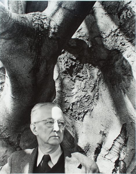 Charles Sheeler and His Favorite Beech Tree from the collection of Van ...