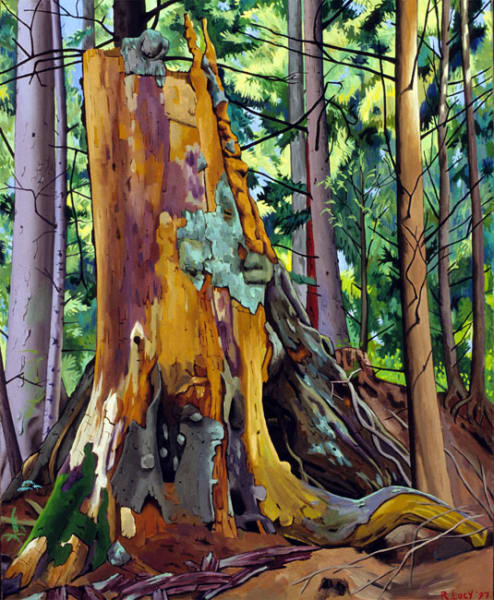 Old Growth Stump from the collection of UNLV Marjorie Barrick Museum of ...