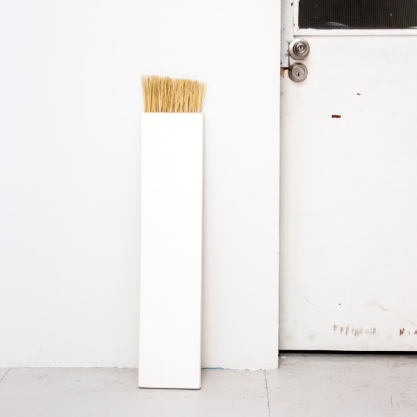 Broom from the exhibition Color Made | Artwork Archive