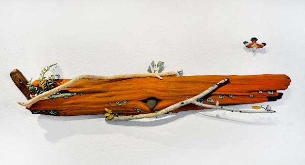 Nurse Log from the exhibition April 2025: The Garden Show | Artwork Archive