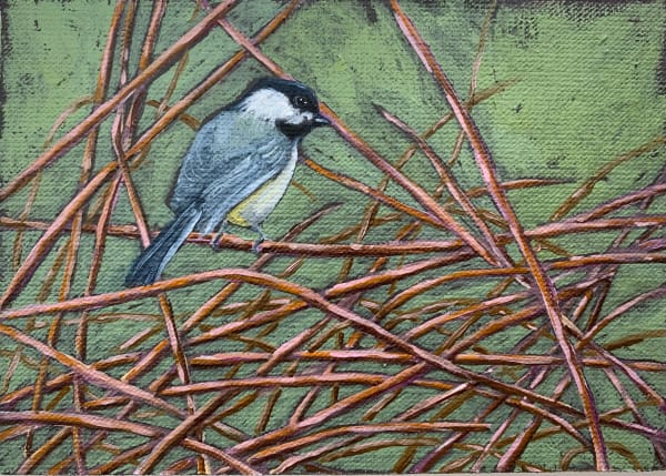 The Gaze from the exhibition September 2022: Zue Stevenson, Sandi ...