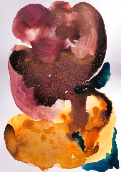 Coralline Polypi by Stephanie Fuller | Artwork Archive