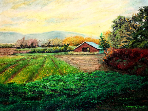 Red Barn Sauvies Island by Sandra Longmore | Artwork Archive