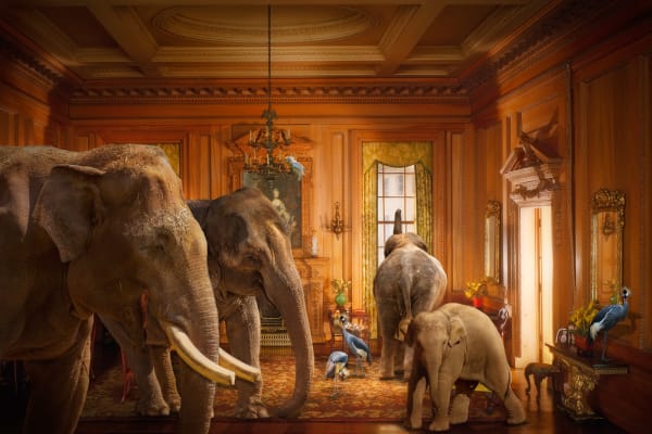 English Drawing Room of the Early Georgian Period, 1730s, c. 1937 by ...