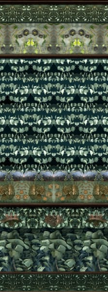 Specimen Panel with Eucalyptus, Turtle Shells and Honeycomb by LISA A ...