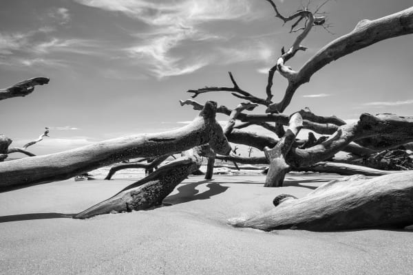 Fallen by Joe Fishburne | Artwork Archive