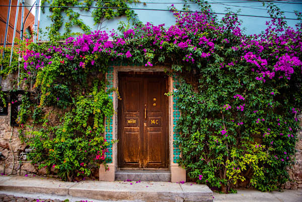 Door with Purple Bougainvillea - San Miguel de Allende, Mexico by Jenny ...