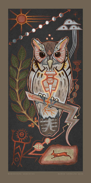 DSNG-023.001 // Megascops seductus // Balsas Screech Owl // 12x24" // 1/10 by Derek Schultz ...