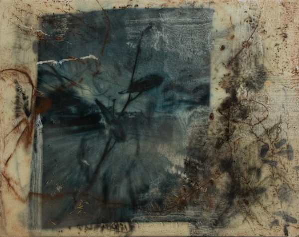 Milkweed Pods in Autumn by Angela Wimmer | Artwork Archive