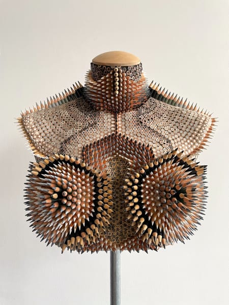 Shame Shield by Molly Gambardella | Artwork Archive