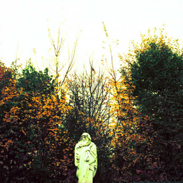 Lazurus 1/3 by Tamara Rafkin | Artwork Archive