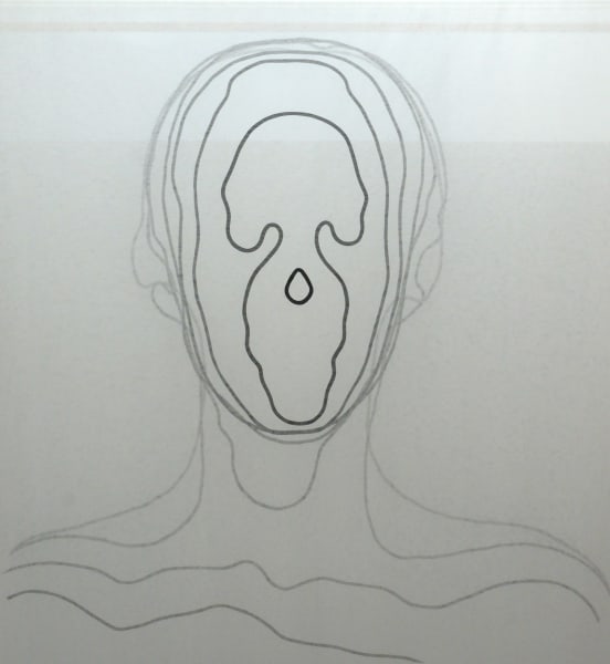 Facial Topography by Jaya Griscom | Artwork Archive