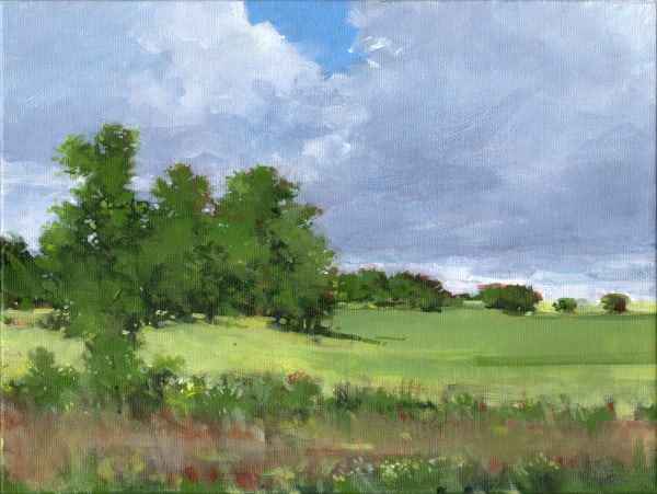 East Travis County Landscape by Baron Wilson | Artwork Archive