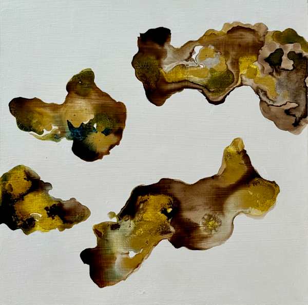 Sitka Bark In Ink II by Shobha Jetmalani | Artwork Archive