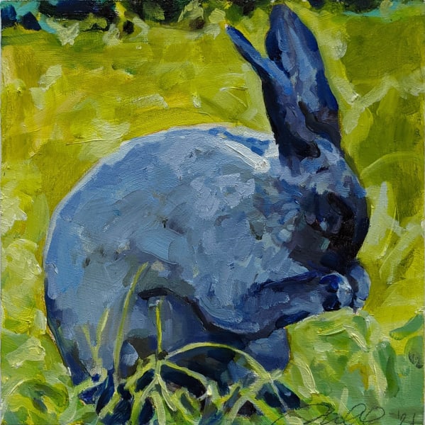 Silver Fox Rabbit by Rachel Catlett | Artwork Archive