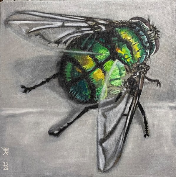 Blowfly#3 from the exhibition Artwork Gallery Exhibition: 2024 ...