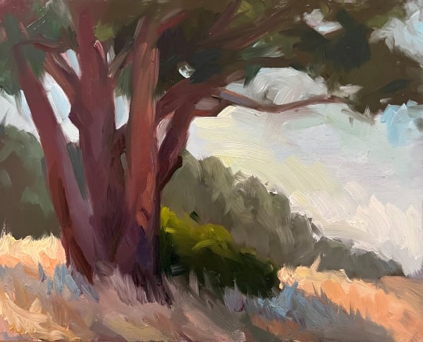 Red Tree California, Plein Air by Erica Norelius | Artwork Archive