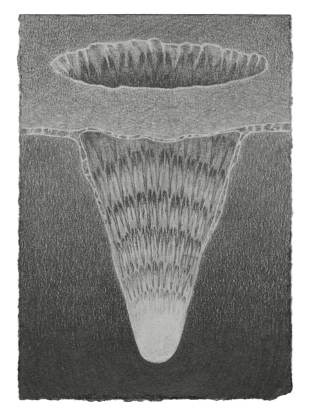 Stages of Fallout (expanding universe) by Adam Liam Rose | Artwork Archive