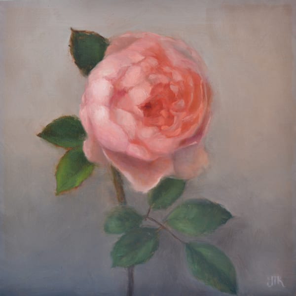Alnwick Rose by Julie Tsang Kavanagh | Artwork Archive