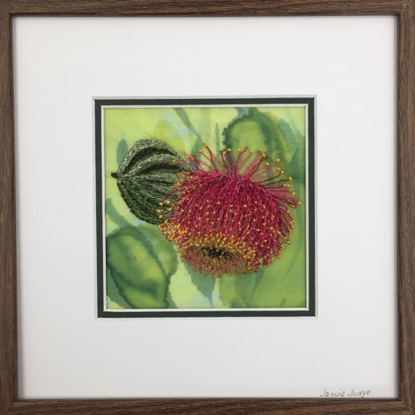Large-fruited Mallee by Janine Judge | Artwork Archive
