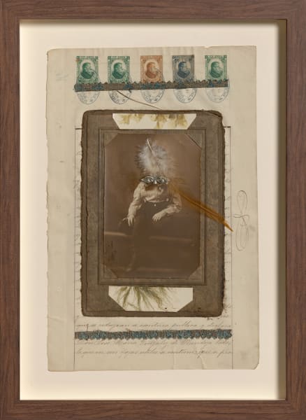 Incognito by nancy kay turner | Artwork Archive