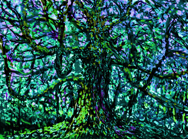 Applecross Tree by Donald Hargrove | Artwork Archive
