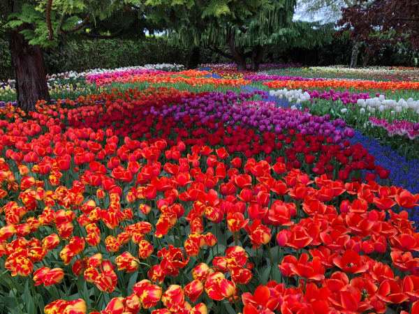 Bold and Vivid from the collection of Center for Performing Arts ...