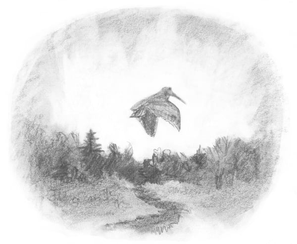 Crepuscular by Abby McBride | Artwork Archive