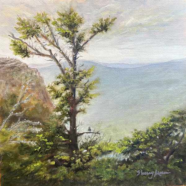 Collection North Carolina Landscapes from Sherry Mason | Artwork Archive