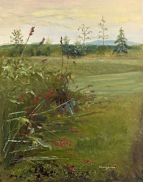 After the Rain - Hurricane Helene by Sherry Mason | Artwork Archive