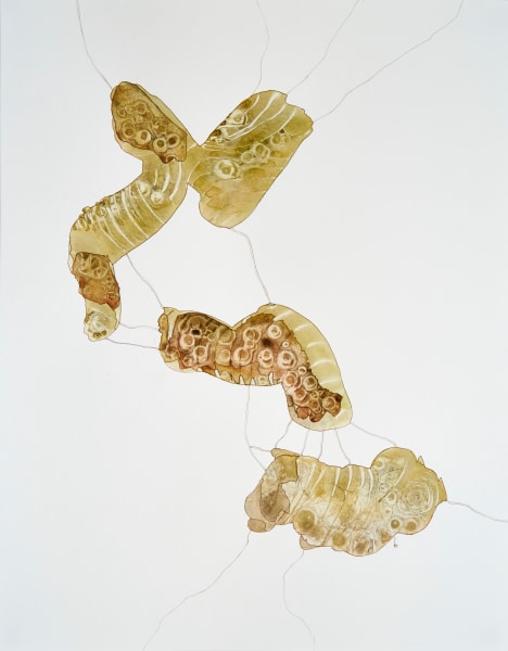 Husk Of the Old God by Deborah Benioff Friedman | Artwork Archive