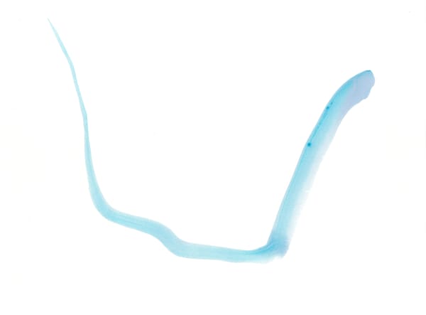 Waterfall Talk by Hannah Luxton | Artwork Archive