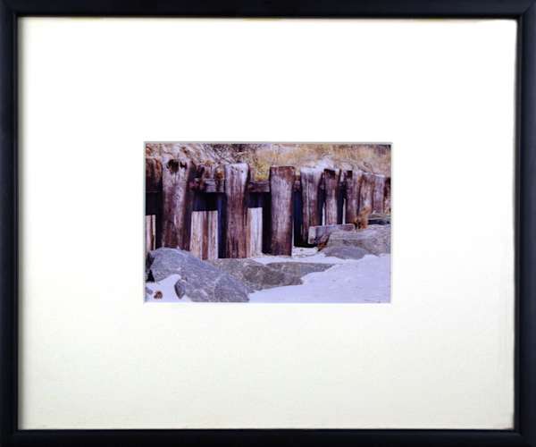 Pilings from the collection of Villanova University Art Collection ...