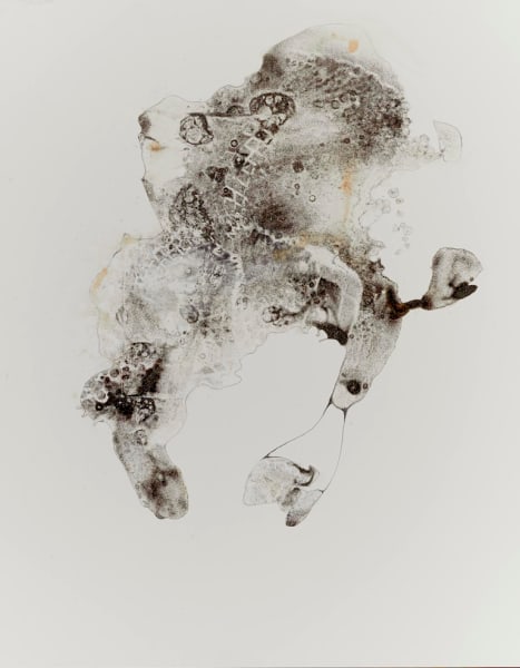 Mutant 5 - GONE by Barbara Fisher | Artwork Archive