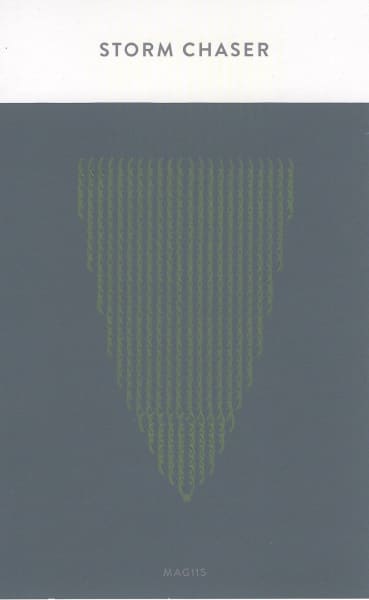 storm chaser by Chad Reynolds | Artwork Archive