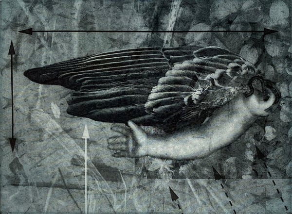 PROSTHETIC WING by Roxie Johnson | Artwork Archive