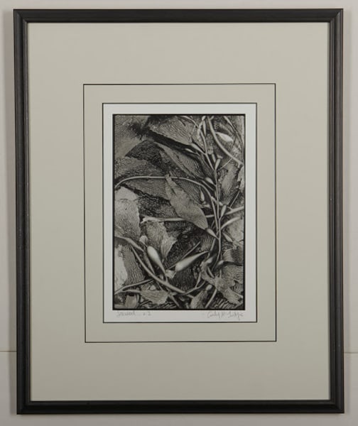 Seaweed (Version 2) from the collection of MonteCedro | Artwork Archive