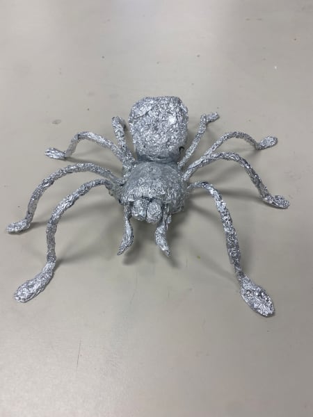 Aluminium Foil Spider from the collection of Western Reserve Academy ...