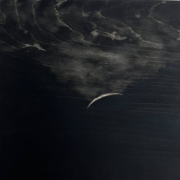 Valley of the Moon Moon Rise at Kunde by Isabel Wyatt | Artwork Archive