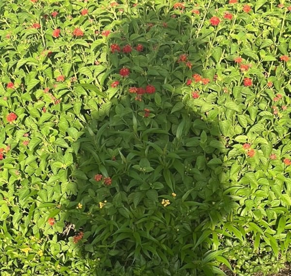 A Shadow of My Former Self from the exhibition 2023 - Abstract Art ...