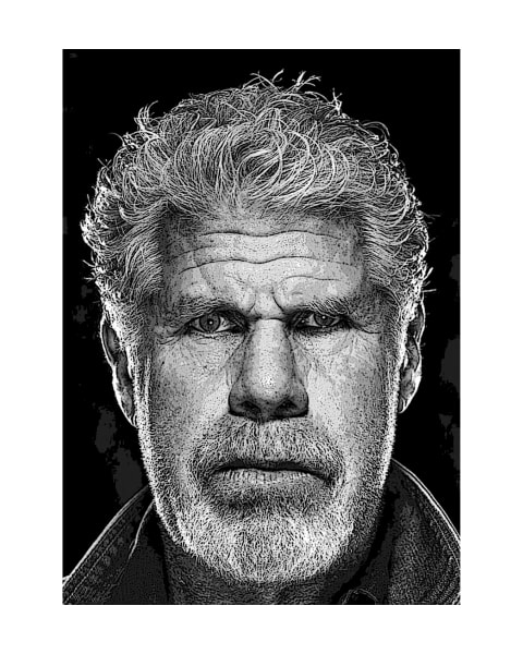 Ron Perlman from the exhibition 2024 - Black, White, or Grey | Artwork ...