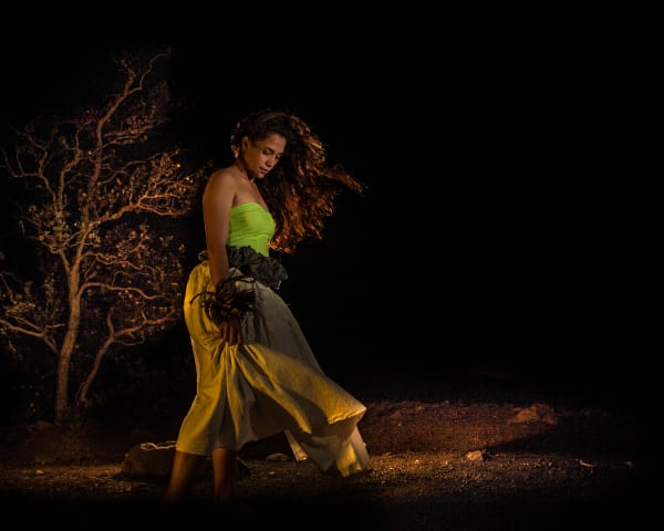 Hiʻiaka from the exhibition 2024 Women in Art | Artwork Archive