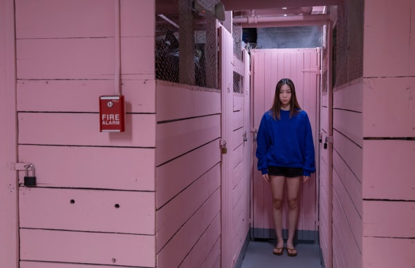 The Pink Basement from the exhibition 2023 - small works - BIG TALENT ...