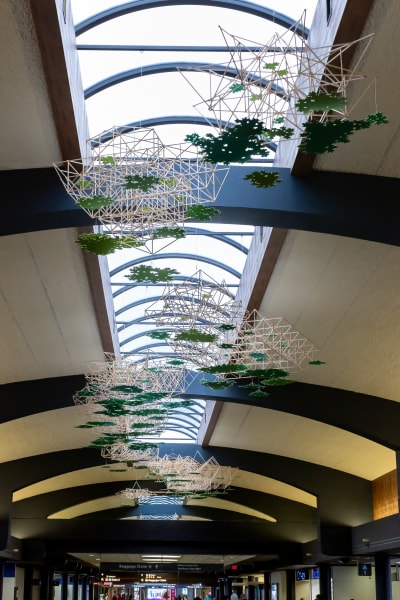 Shy Canopy from the collection of PIT Art in the Airport Program ...